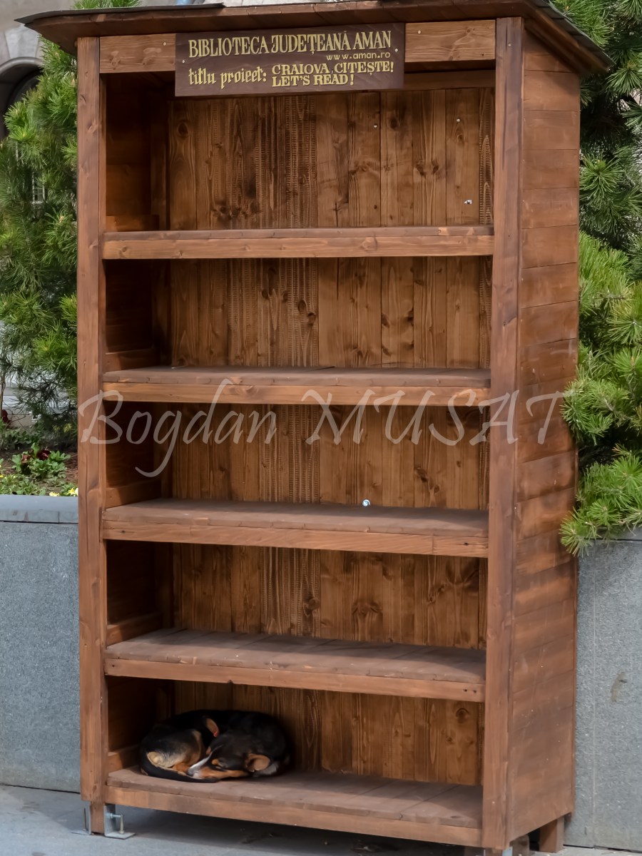 Hotul de carti | Bogdan Musat Blog