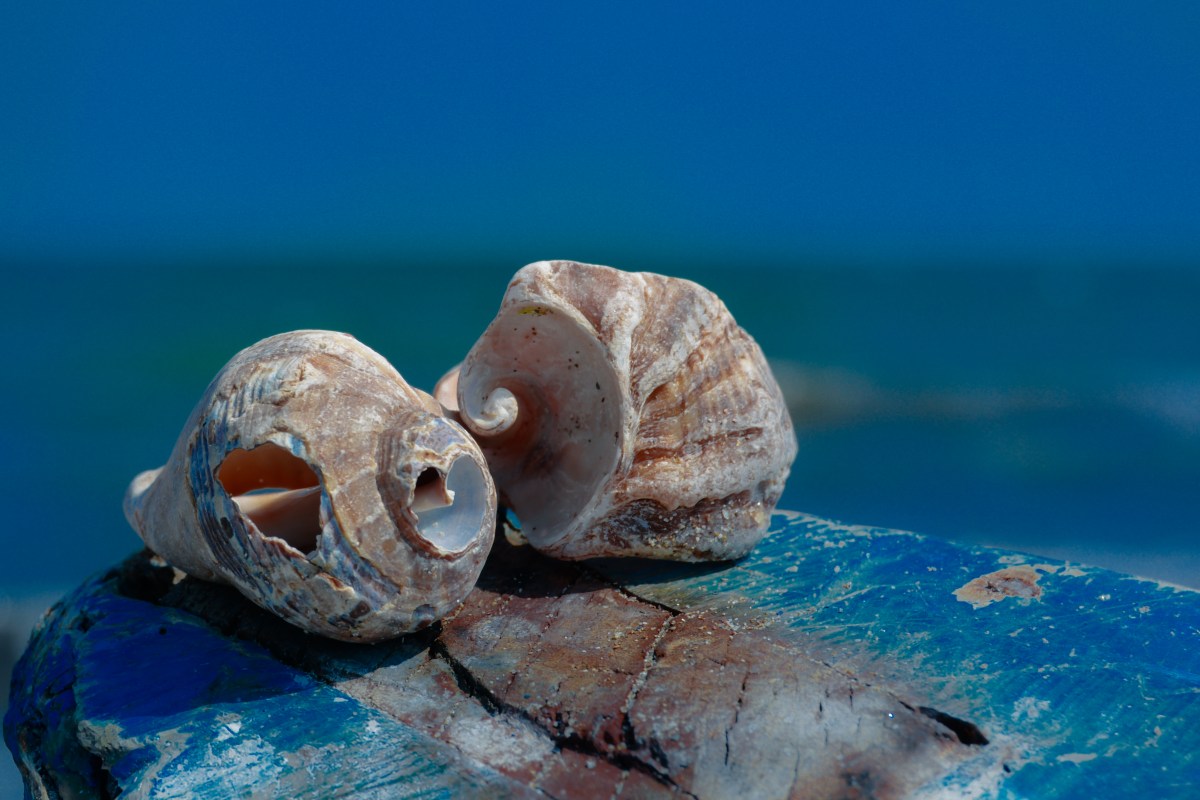 In cuplu | Bogdan Musat Blog