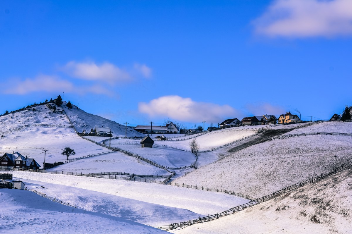 Intr-un glob de sticla | Bogdan Musat Blog