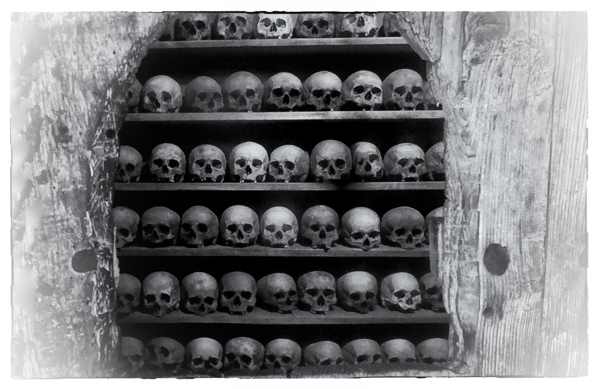 Quo vadis? | Bogdan Musat Blog