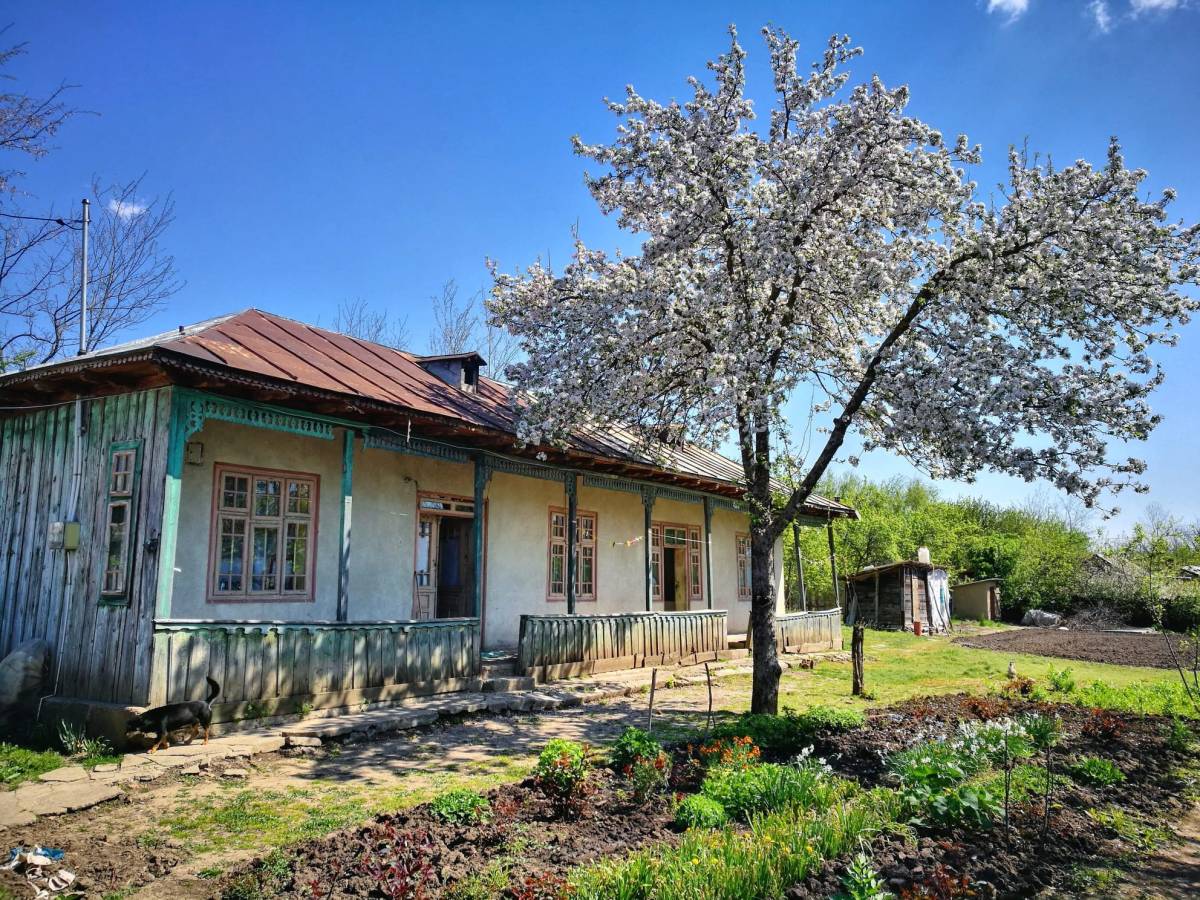 Prima și ultima dată | Bogdan Musat Blog